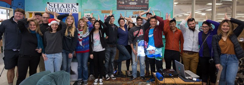 Volunteer For the Ocean – Shark Stewards